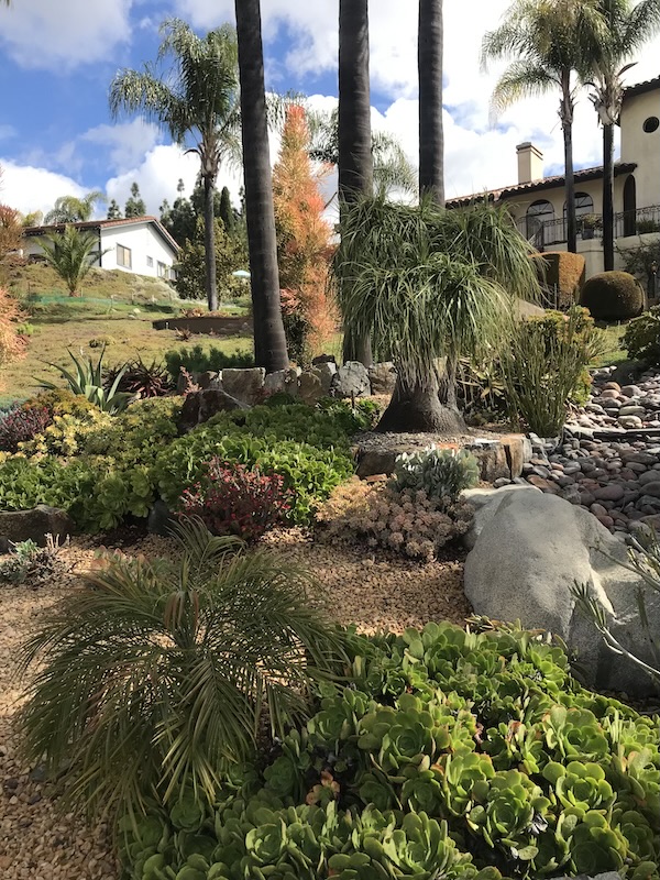 Vista Rock Landscapes